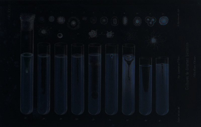 A microbial interactions catalog | mi-atlas